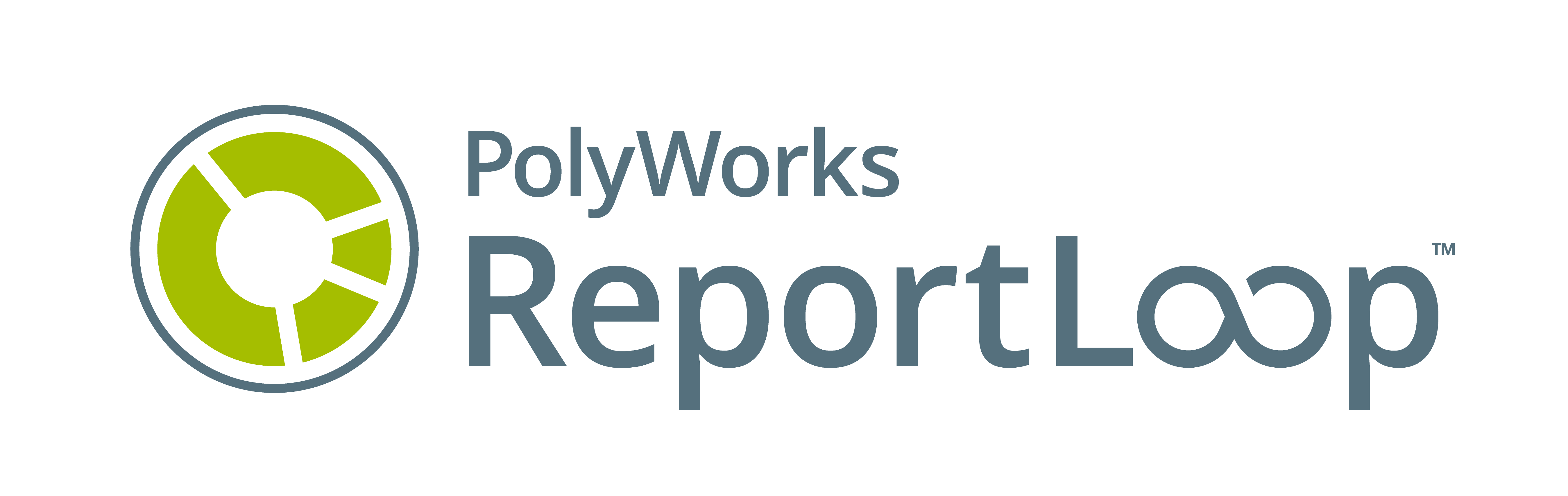 Polyworks | TOPMES s.r.o.