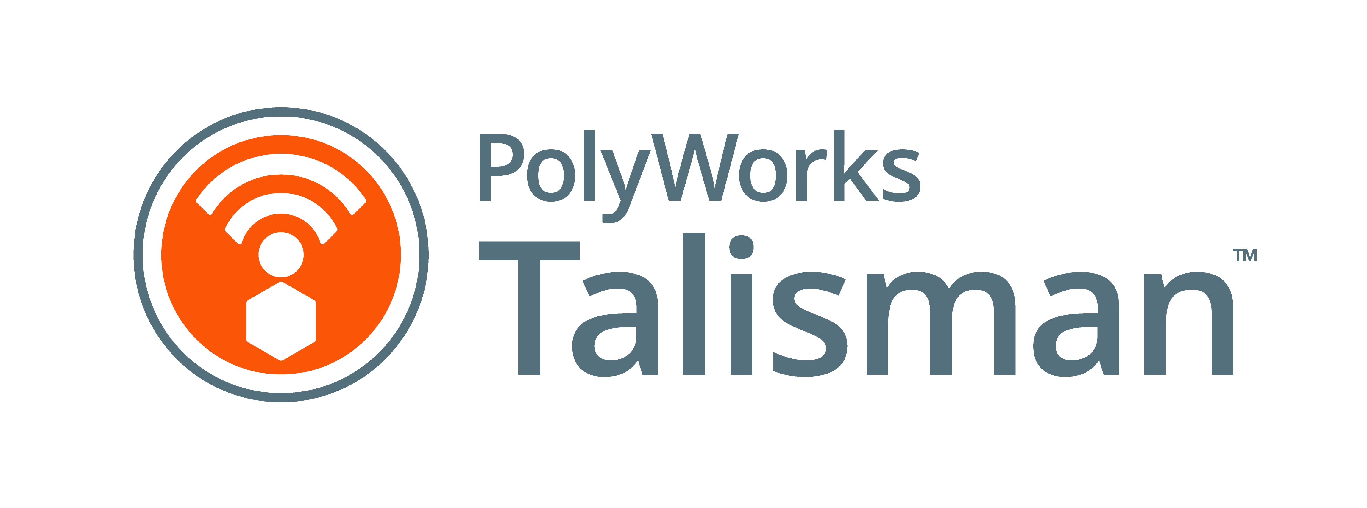 Polyworks Reviewer | TOPMES s.r.o.